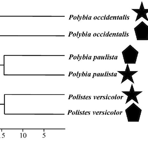 Similarity Dendrogram Generated Based On The Percentages Of Different Download Scientific