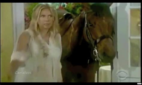 Animals In Soap Operas A Bestiary The Bold And The Beautiful Brooke