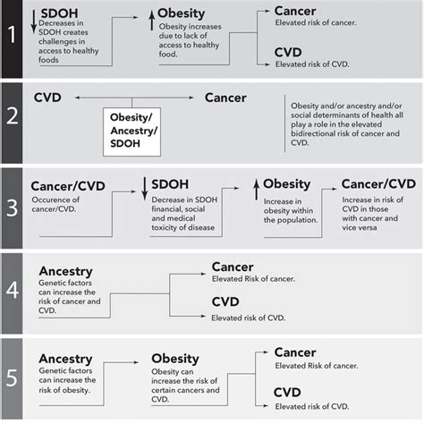 Simplistic Causal Directed Acyclic Graphs To Illustrate Possible