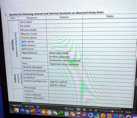 Identify The Following External And Internal Structures On Dissected Sheep Brain Feature Notes