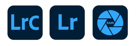 Portrait Lightroom Presets Workflow Presetpro