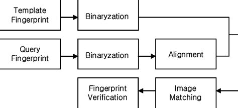 Structure Of Image Based Fingerprint Verification The Binarization Download Scientific Diagram