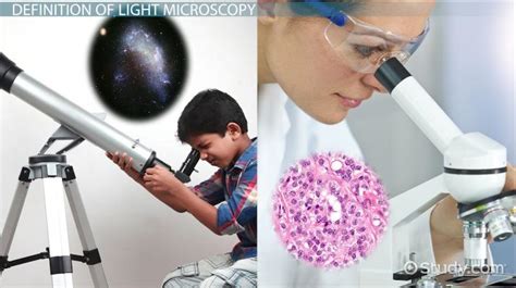 Light Microscope Definition Parts Function Lesson Study