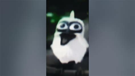 Bird Screaming Youtube