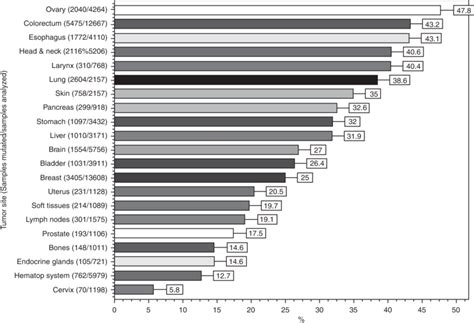 Tp53 Mutations Prevalence In Sporadic Cancers The Proportion Of Tumors