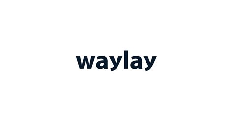 leonard donnelly appointed ceo of waylay business wire