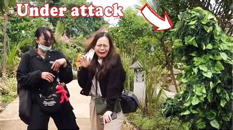 Good Mood Funny Bushman Prank Youtube