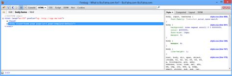 Web Development Environment Setup