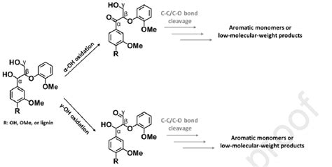 Schematic Illustration Of Selective Oxidation Of β O 4 Type Linkages Of