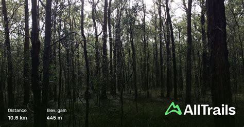 Mount Taylor Loop 32 Fotos Victoria Australië Wandelen Alltrails