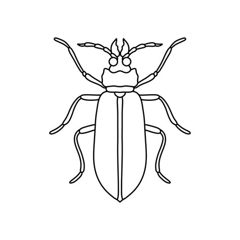 Insect Bug Outline Illustration Character From Wild Nature Flat