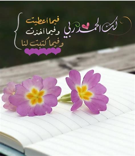 Pin By رغــــــد On بطـاقـات صبـاحيـة واسـلاميـة Beautiful