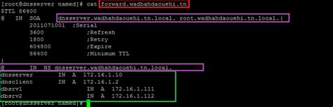 Dns Configuration To Use The Scan With Oracle Rac Database Wadhah Daouehi