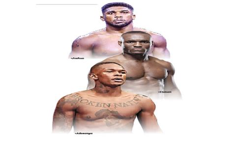 2022 Miserable Year For Top Nigerian Fighters