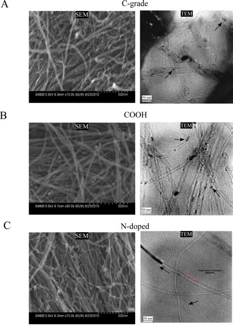 Representative Electron Micrographs Of The Commercial Grade C Grade