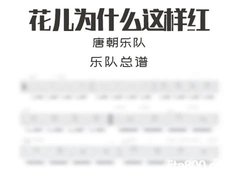 花儿为什么这样红吉他谱 唐朝乐队《花儿为什么这样红》乐队谱 六线谱 原版吉他谱