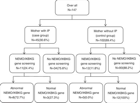 Flow Diagram Of Mothers Grouping And Nemo Ikbkg Gene Screening In This