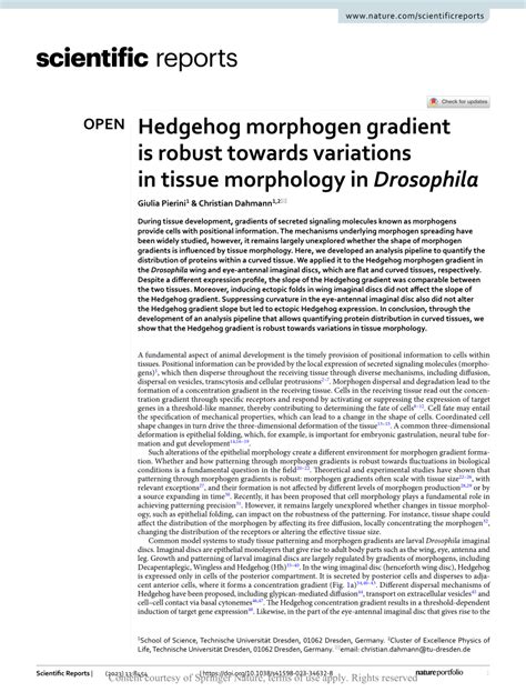 Pdf Hedgehog Morphogen Gradient Is Robust Towards Variations In