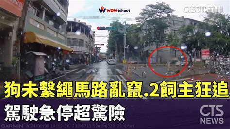 狗未繫繩馬路亂竄 2飼主狂追 駕駛急停超驚險｜華視新聞 20240911 Youtube