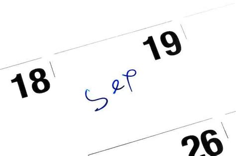 Haruskah Kita Membuat Jadwal Seks Kami Meneliti Apakah Seks Yang