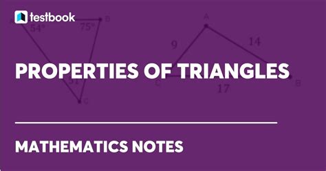 Properties Of Triangle Types And Formulas With Examples