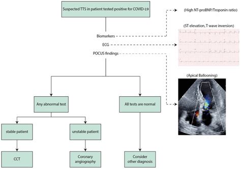 Takotsubo Cardiomyopathy Causes