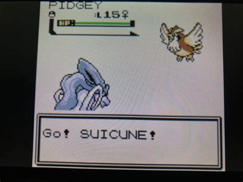 Ii My First Ever 8192 Shiny Suicune On Vc Crystal Rshinypokemon