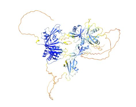 Color Alphafold2 S Plddt Kpwu S Group Research Site