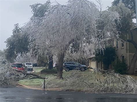 Kxan Weather Ice Storm Causes Trees To Snap In Central Texas