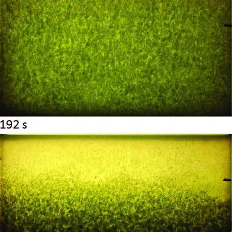 Murray Gingras Professor Full University Of Alberta Edmonton Ualberta Department Of