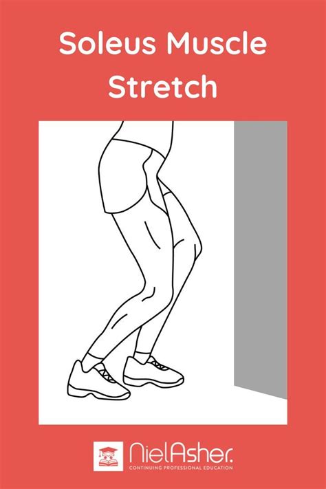 Soleus Muscle Stretch Soleus Muscle Muscle Stretches Muscle Pain Relief