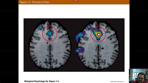 Chapter 1 Part B Biological Psychology Youtube