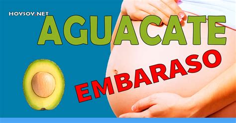 ﻿6 Beneficios De Consumir Aguacate En El Embarazo Hoysoynet ️