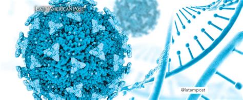 “kraken” La Nueva Variante Del Coronavirus ¿por Qué Está Causando