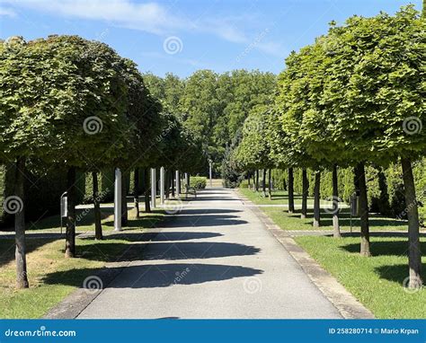 Novo Groblje Stock Photos Free Royalty Free Stock Photos From Dreamstime