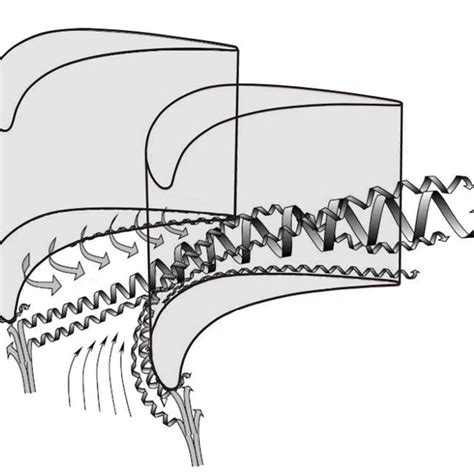 Vortex Flow Pattern According To Wang Et Al 5 Download Scientific Diagram
