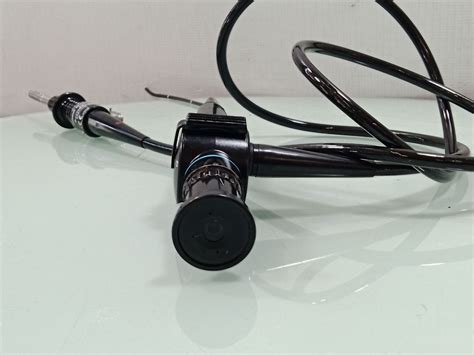 Enf Type P4 Endoscopy General Auction