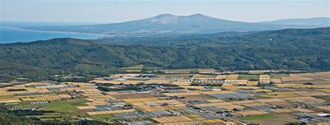 【先行予約】北海道森町産ルピアレッド 赤肉メロン「もりまち黒田貢さんがつくったメロン」2玉 1 6～1 8kg 2025年7月～8月頃順次