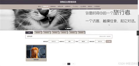Java计算机毕业设计宠物后台管理系统（开题程序论文） Csdn博客