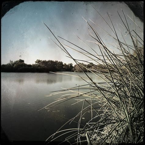 Premium Photo Reflection Of Trees In Water