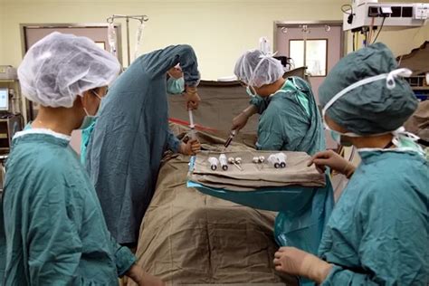 Muore Per Una Ischemia Cerebrale Una 34 Enne Di Modica Donati Organi