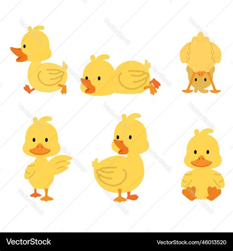 Cute Yellow Ducks Collection Set Royalty Free Vector Image