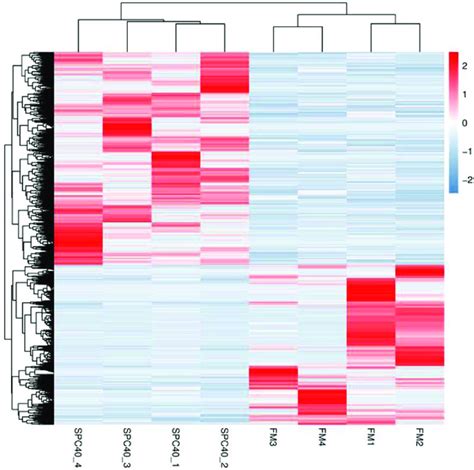 Cluster Heat Map Of Significantly Varied Genes In The Hindgut Of Pearl Download Scientific