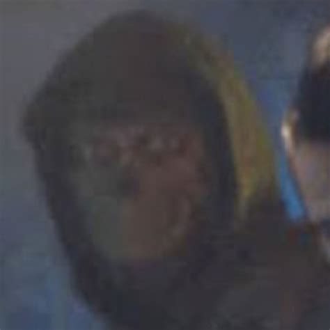 Pin By Dominic On Memes Cod Memes Call Off Duty Call Of Duty