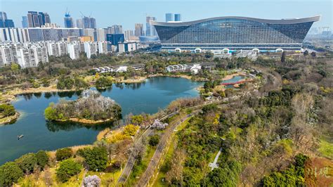 C视频 穿越成都公园城市 见证城市与自然和谐共生 四川在线