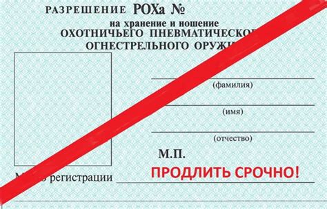 Продление лицензии на оружие в 2021 году пошаговая инструкция для Госуслуг Перечень