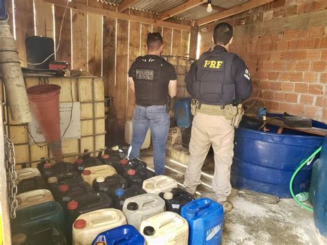 Paraná Prf E Polícia Civil Prendem Cinco Pessoas Em Operação Contra
