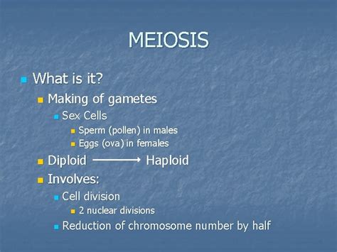 Meiosis N What Is It N Making Of