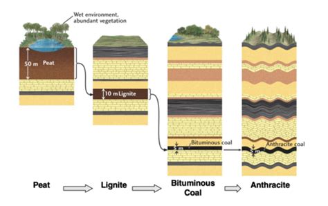 lect 4and5 sediments metamorphism flashcards quizlet