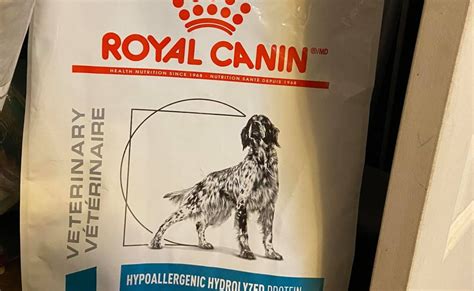 Why Do Vets Recommend Royal Canin Answered